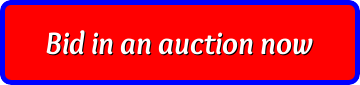 Auction Spear Start your own business with ZERO overhead!